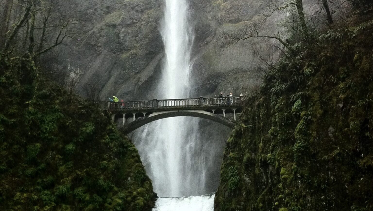 Understanding Geometric Proofs - A Comprehensive Guide